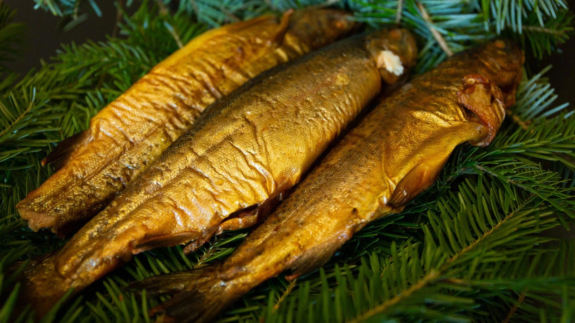 Beneficiile păstrăvului pentru organism - Valeputna